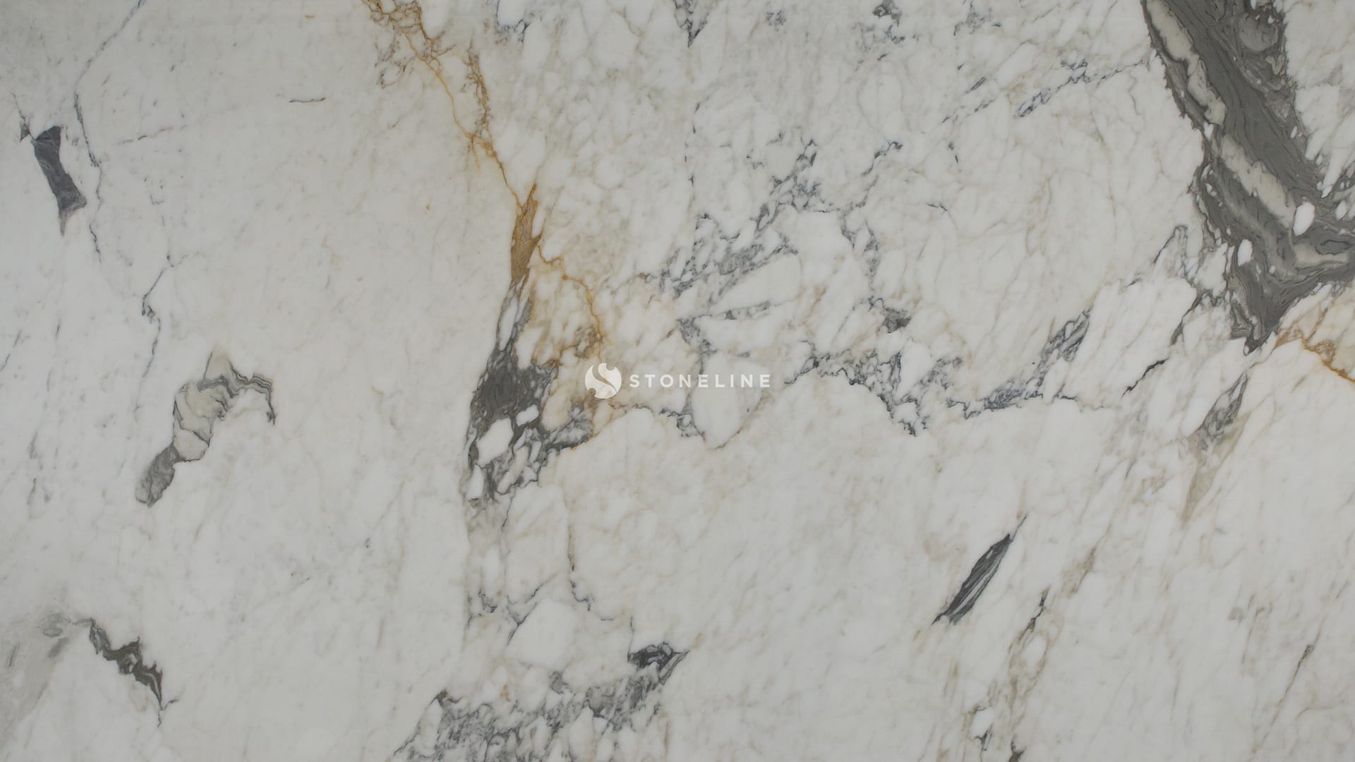 ARABESCATO ORO | MARBLE | STONELINE