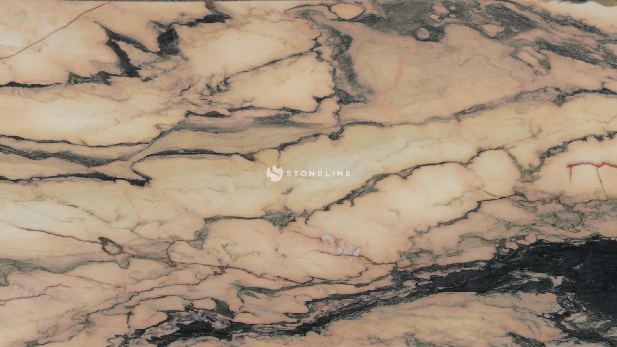 PAONAZZO ROSE | MARBLE | STONELINE