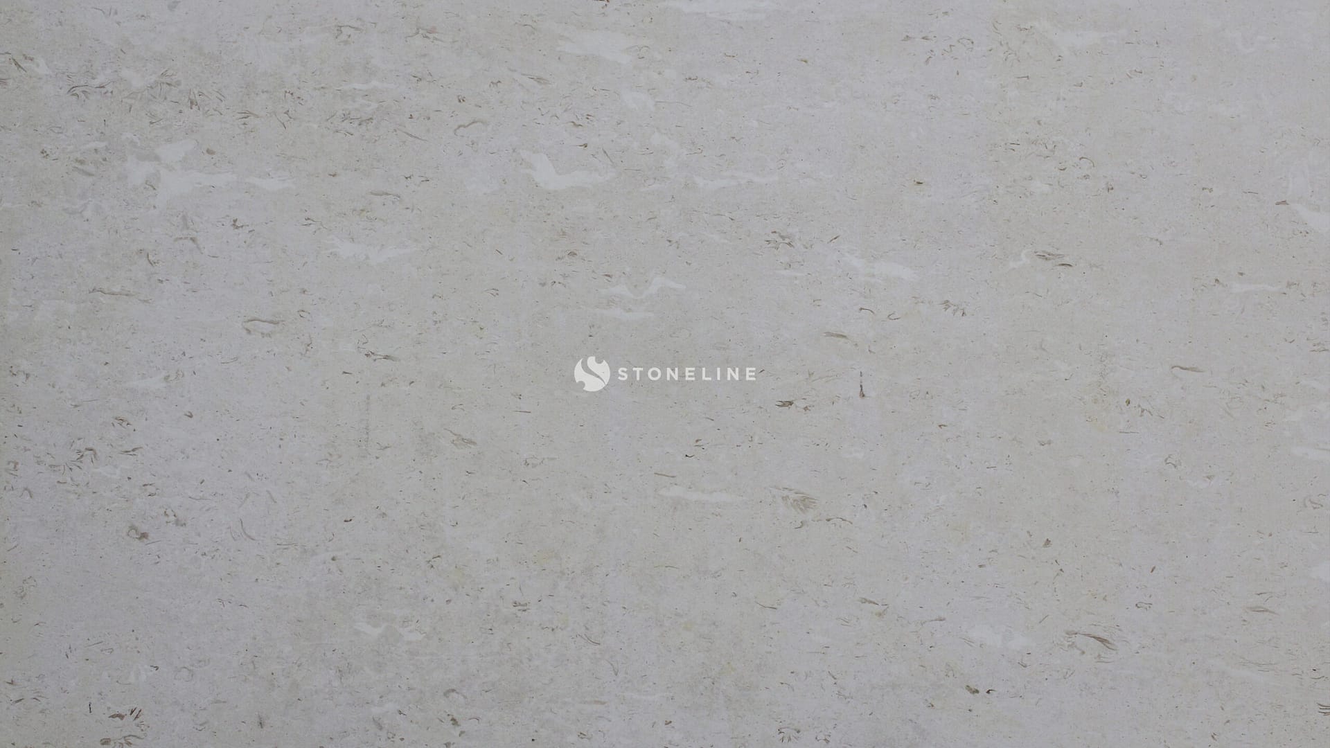 MYRA WHITE | LIMESTONE | STONELINE
